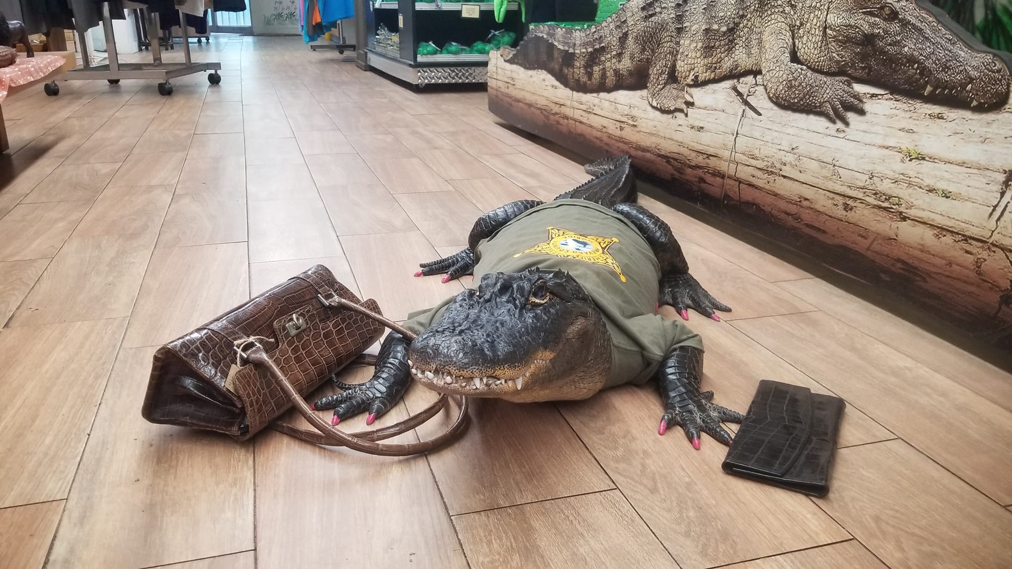 Home - Jungle Adventures