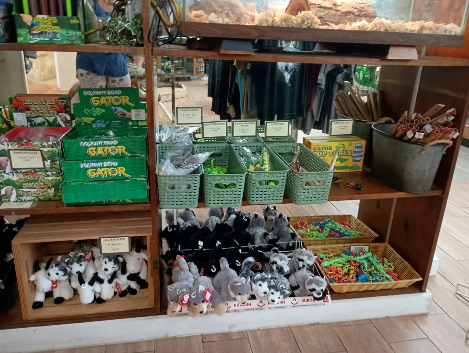 Photos - Jungle Adventures